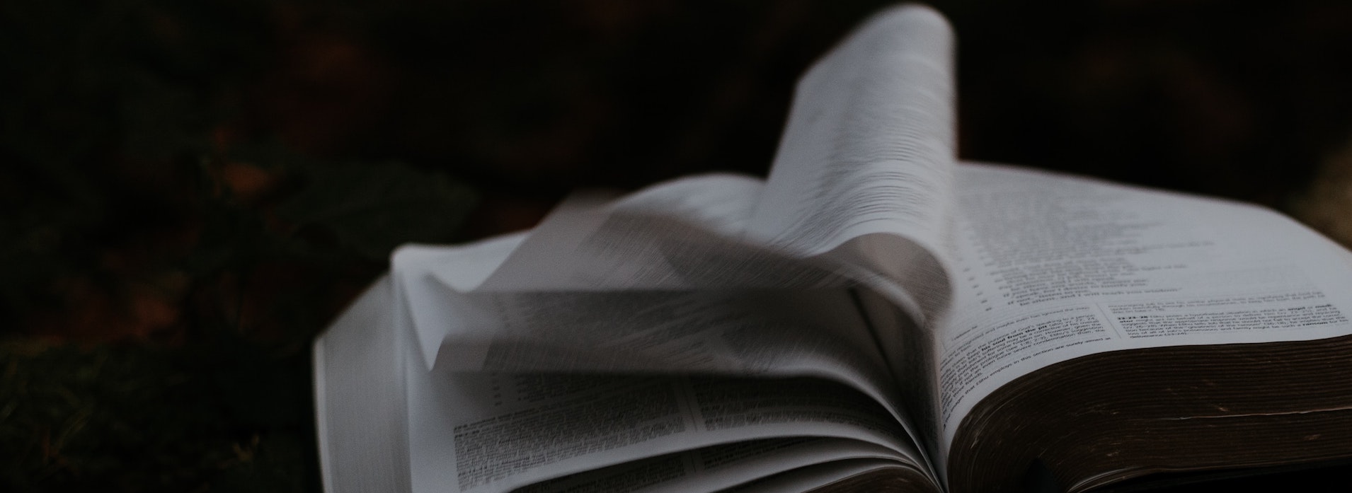 Wise Up, Get Real - Magheralin Parish